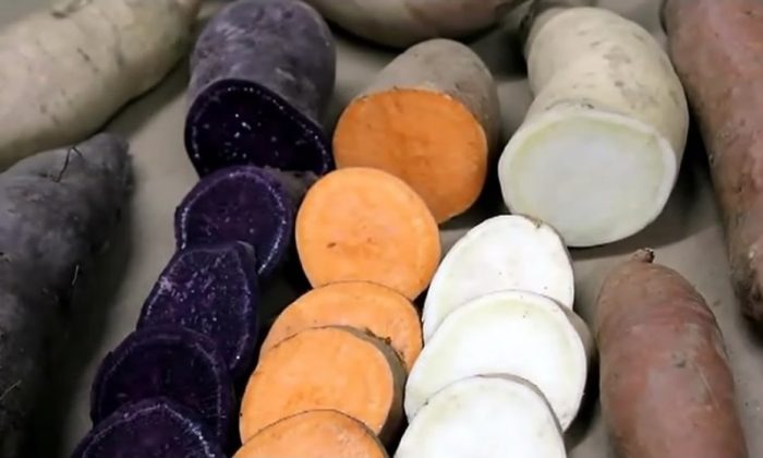 Jak využít batáty v kuchyni netradičně | Naše zahrada