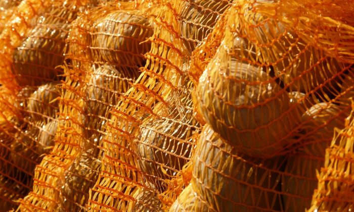 Vybíráme správný pytel na uchování brambor | Naše zahrada