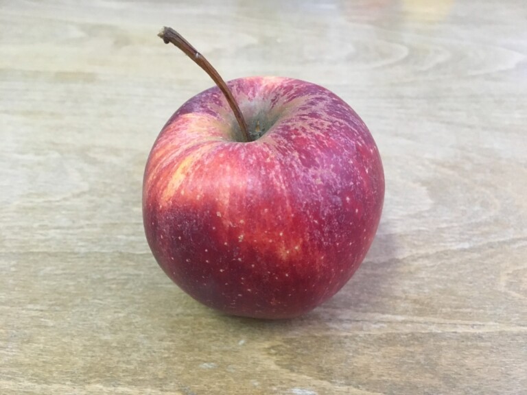 Jablka Gala: Skvělá volba pro každý sad | Naše zahrada