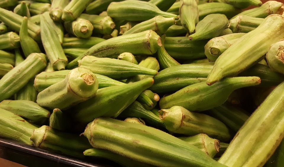 Okra: vypěstujte si tuto málo známou plodinu