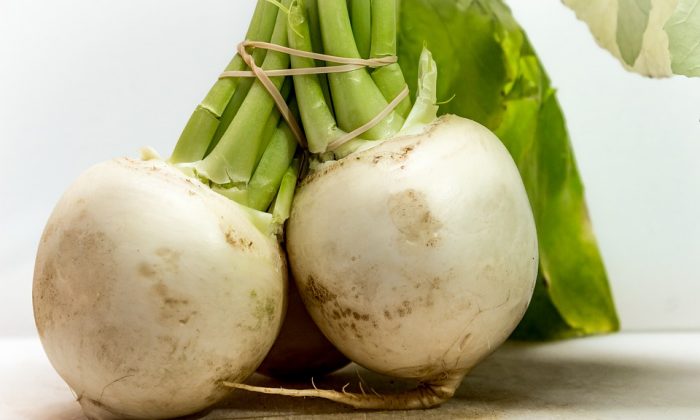 Vodnice: staročeská zelenina se vrací na naše talíře. Její pěstování je ...