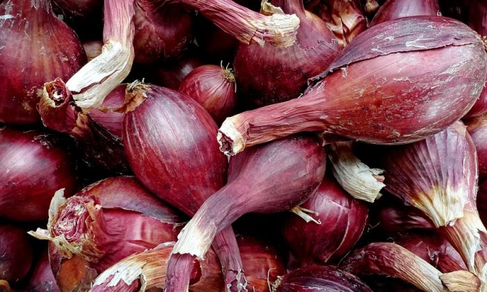 Šalotka a ty druhé: různé druhy cibulí a různé druhy použití | Naše zahrada