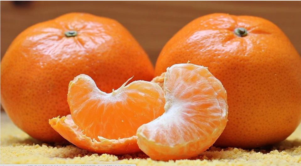 Mandarinky a jejich pěstování ze semínek | Naše zahrada