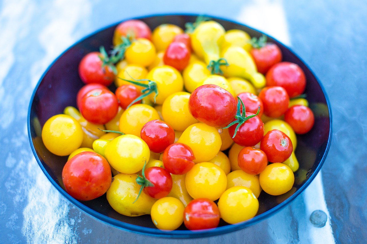 Ideální čas pro výsev rajčat: Průvodce zajímavými odrůdami