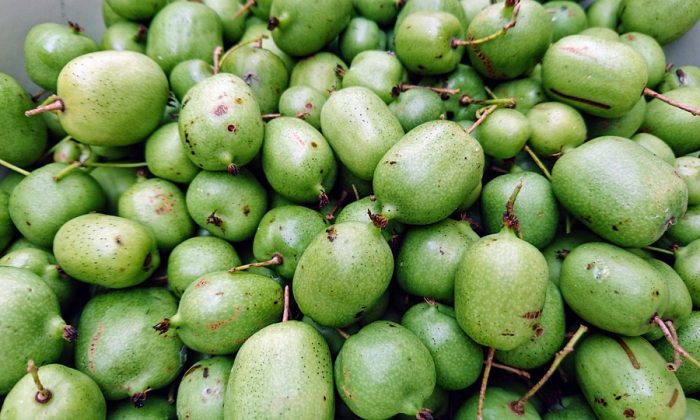 Kiwi můžete pěstovat i u nás: a sklízet také vlastní plody!